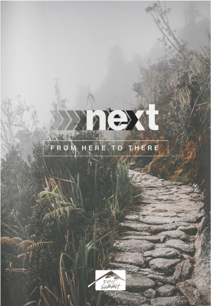 Summit Book Released! – FEIC